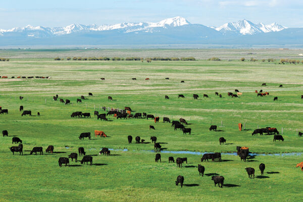 JR Ranch Foods - J&R Ranch Foods